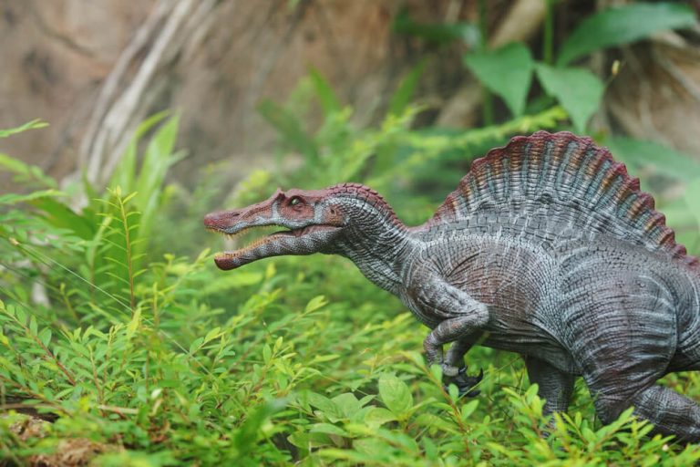Spinosaurus Vs. T-Rex: 15 Differences (Incl. Size Comparison)